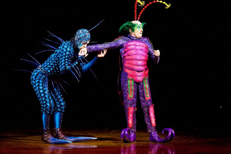OVO - Cirque Du Soleil - Theatre reviews